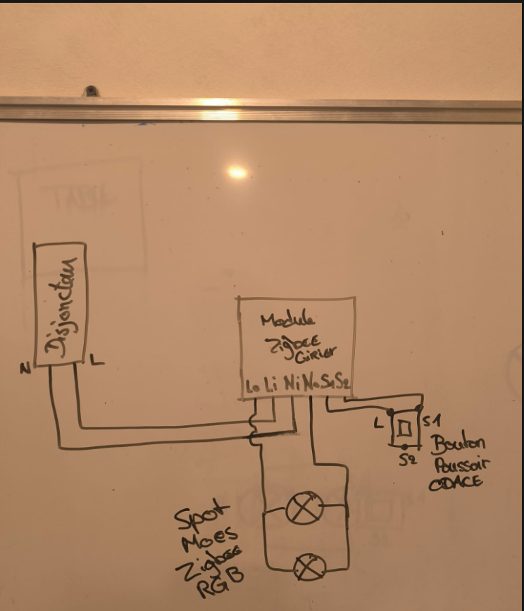 Câblage spots MOES Zigbee + module Tuya (S1/S2) + poussoir Odace → ...